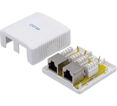 Achat boitier mural 2 prises RJ45 CAT6a | NetWalkerStore